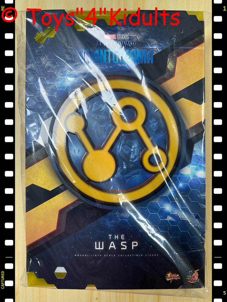 Hottoys Hot Toys 1/6 Scale MMS691 MMS 691 Ant-Man and the Wasp: Quantu – Toys4Kidults