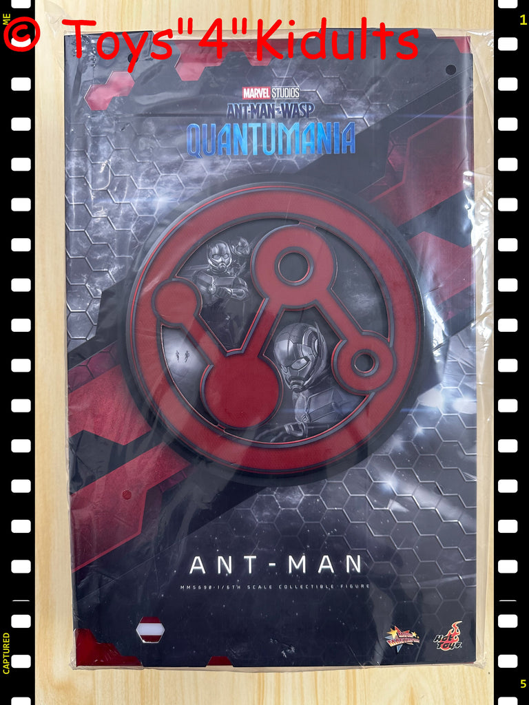 Hottoys Hot Toys 1/6 Scale MMS690 MMS 690 Ant-Man and the Wasp: Quantu ...