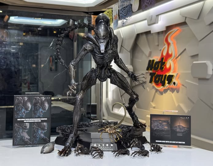 Hottoys Hot Toys 1/6 Scale MMS784 MMS 784 Alien: Romulus - Scorched Xe ...