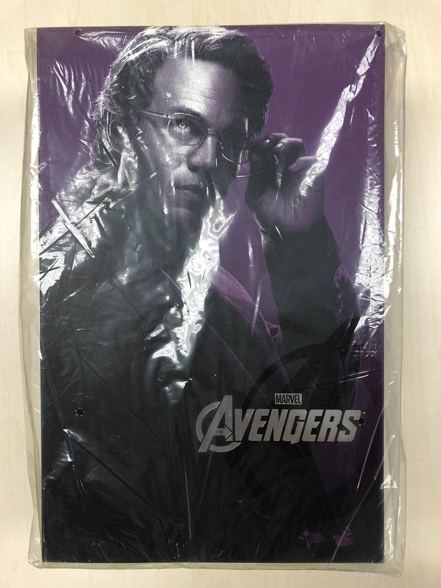 Hottoys Hot Toys 1/6 Scale MMS229 MMS 229 The Avengers - Bruce Banner ...